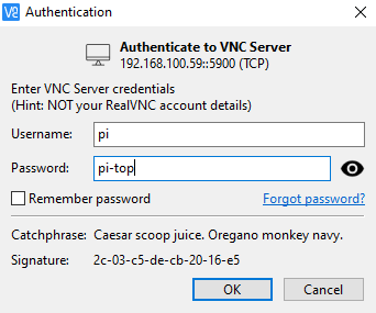 Connecting with VNC to access the desktop